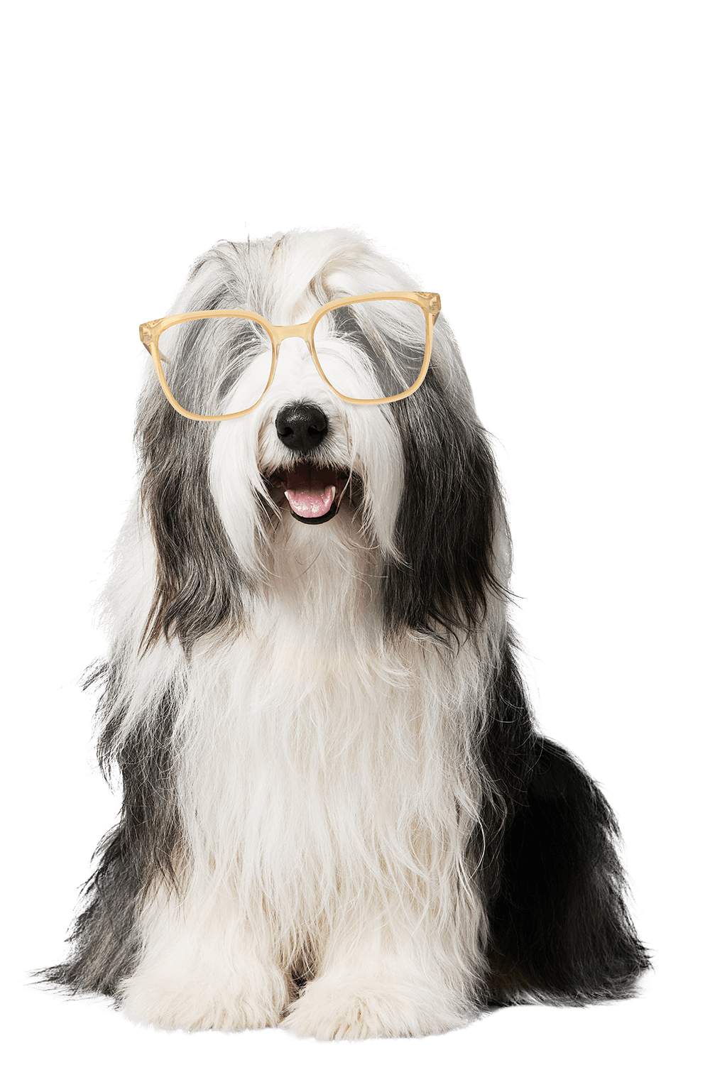 Zo Maak je een Financieel Plan met template | BridgeFund