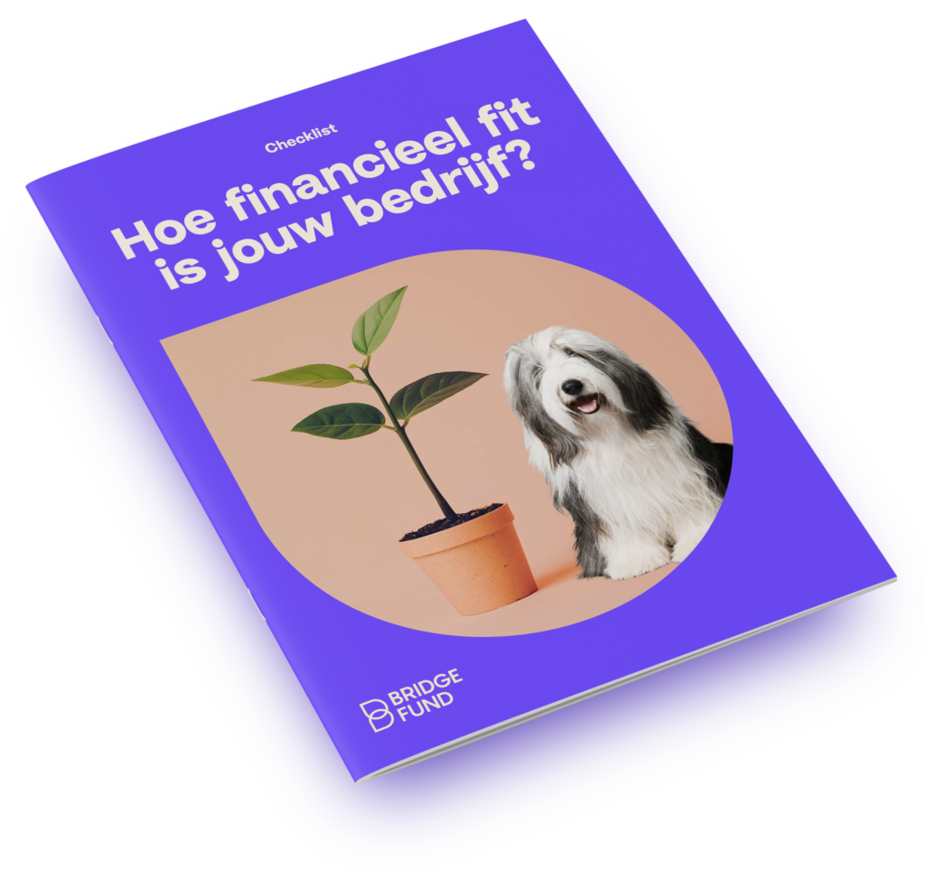 Eigen vermogen op de balans | Uitleg + berekening | BridgeFund